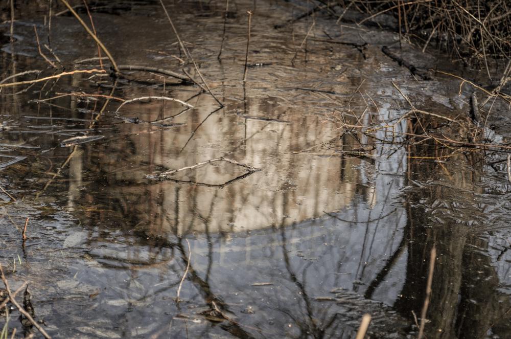 How to Stop a Dumpster Leak | Daniel J Clifford & Son, Inc.